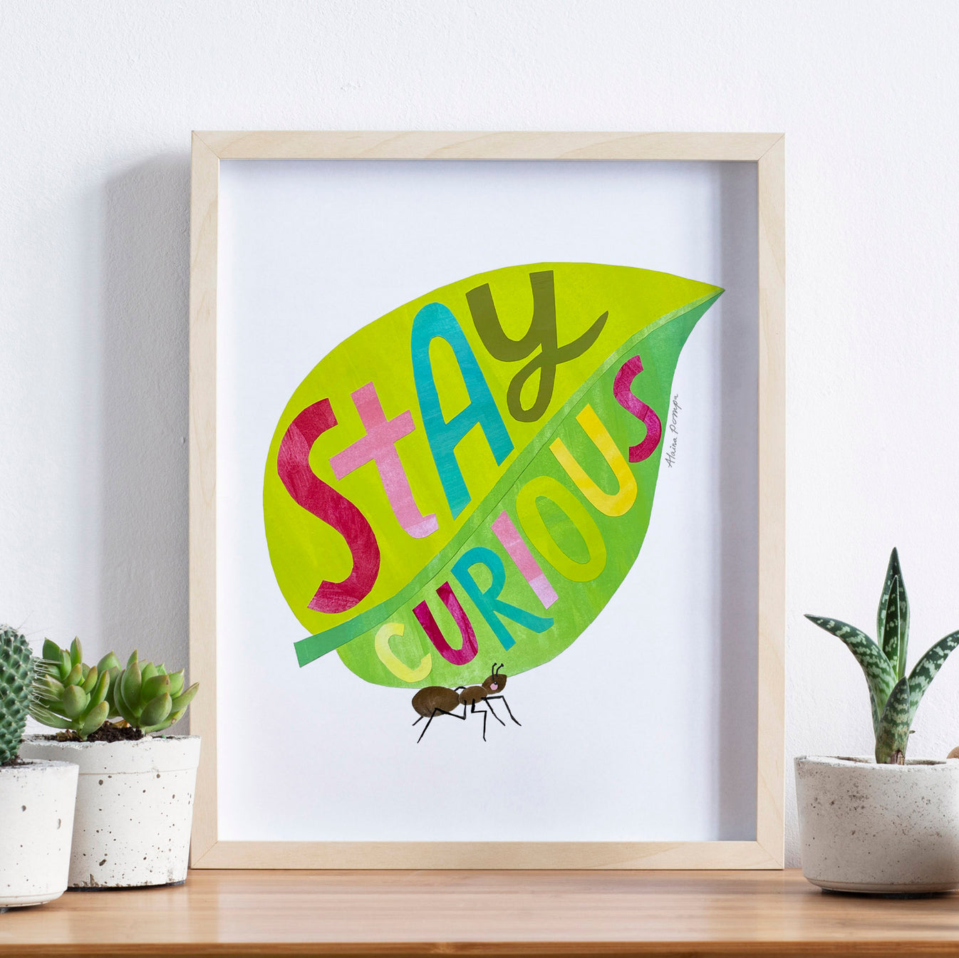 Stay Curious – Alaina Pompa